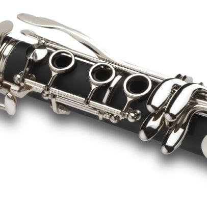 Groot aanbod houten blaasinstrumenten in onze webshop